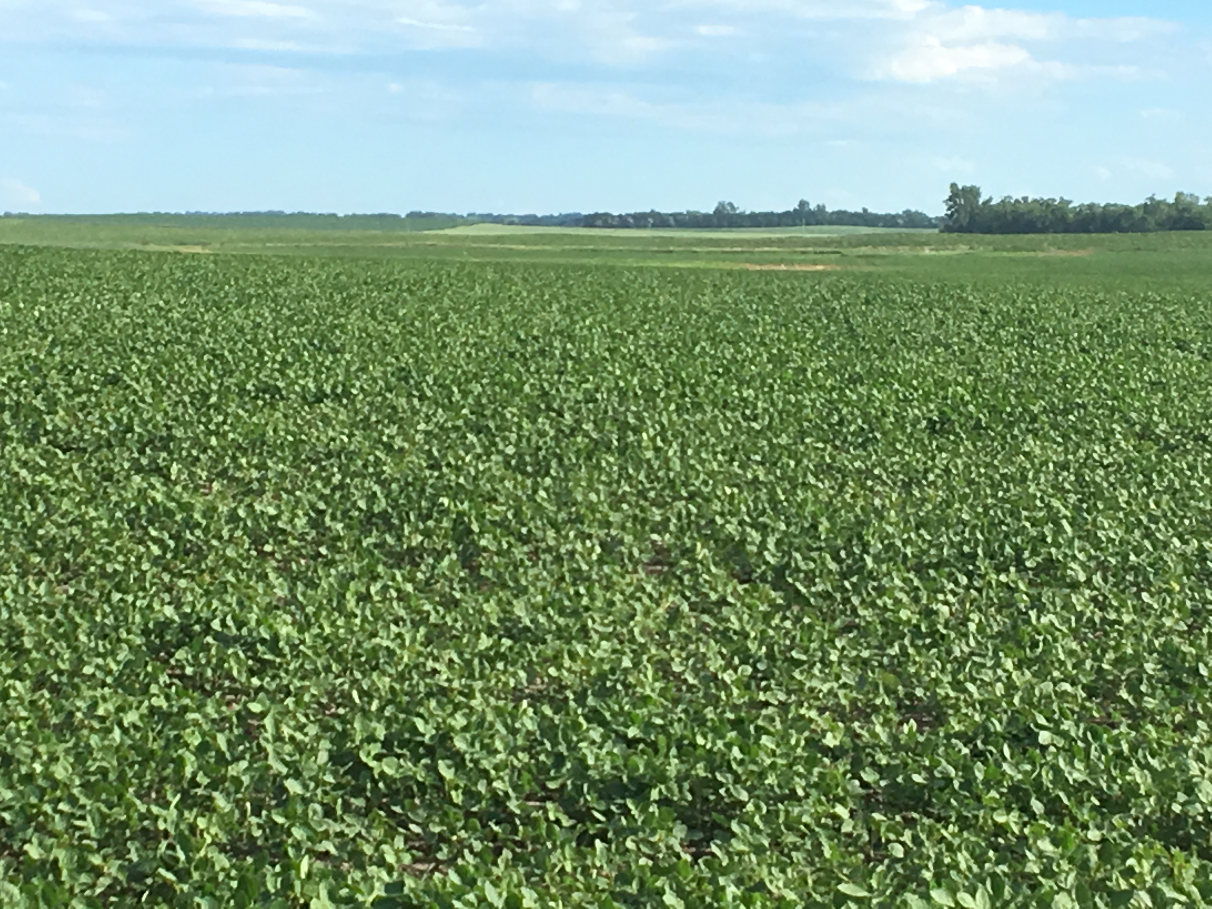 Farmland & New Development For Sale | Crary